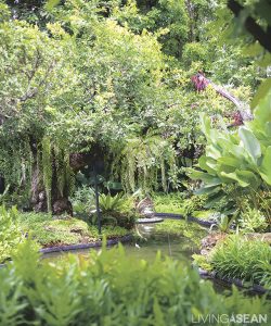 tropical garden Archives - LIVING ASEAN - Inspiring Tropical Lifestyle