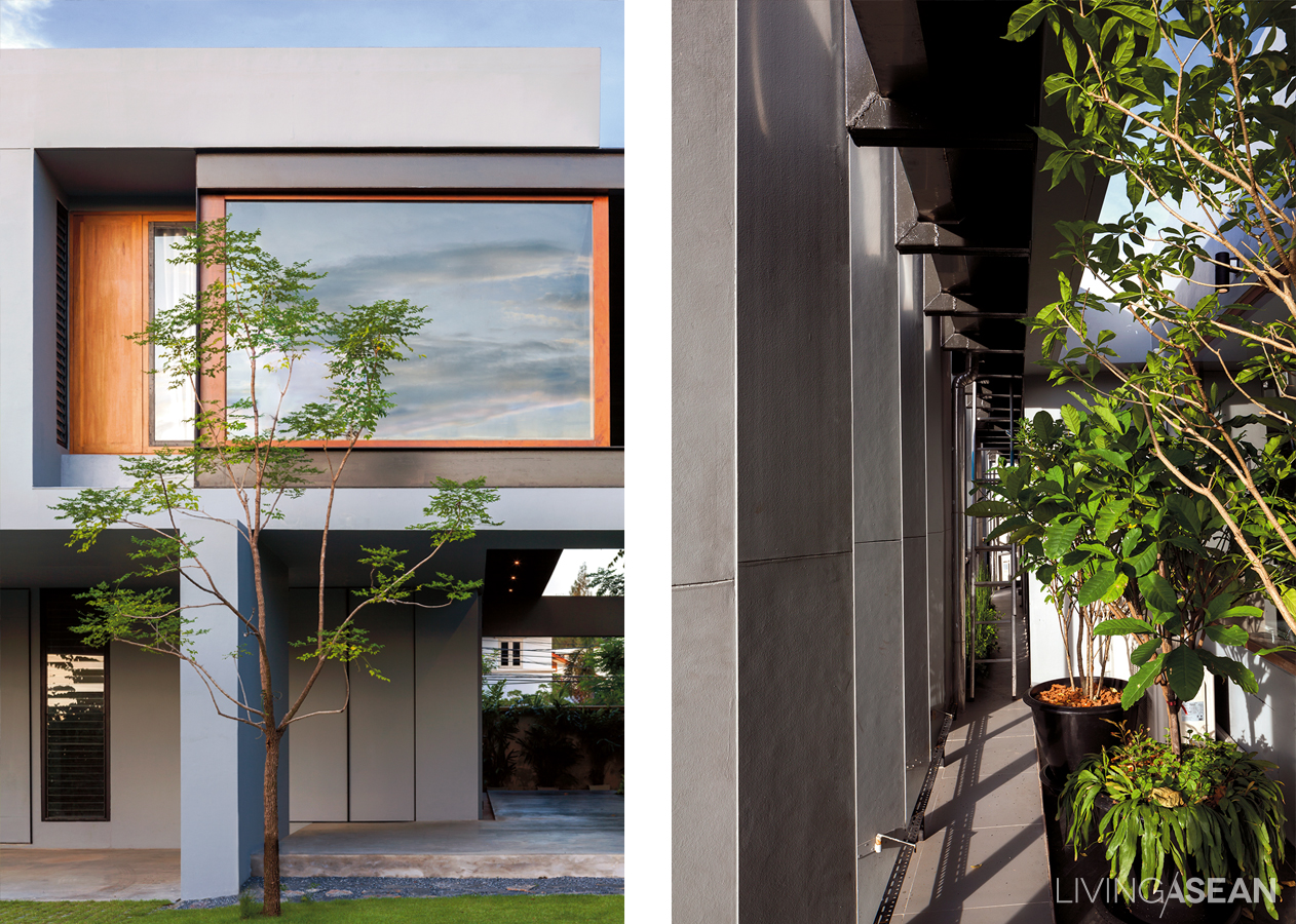 A Modern Box-Shaped House with Tropical Garden View / Living Asean