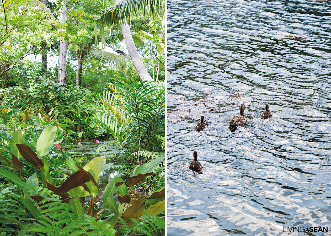 Besides nurturing plants, water has many garden uses: fresh, exciting ...