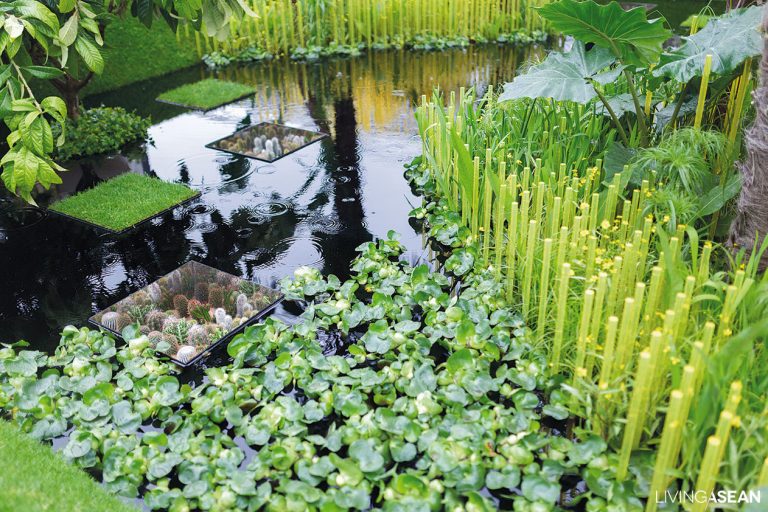 Besides nurturing plants, water has many garden uses: fresh, exciting ...