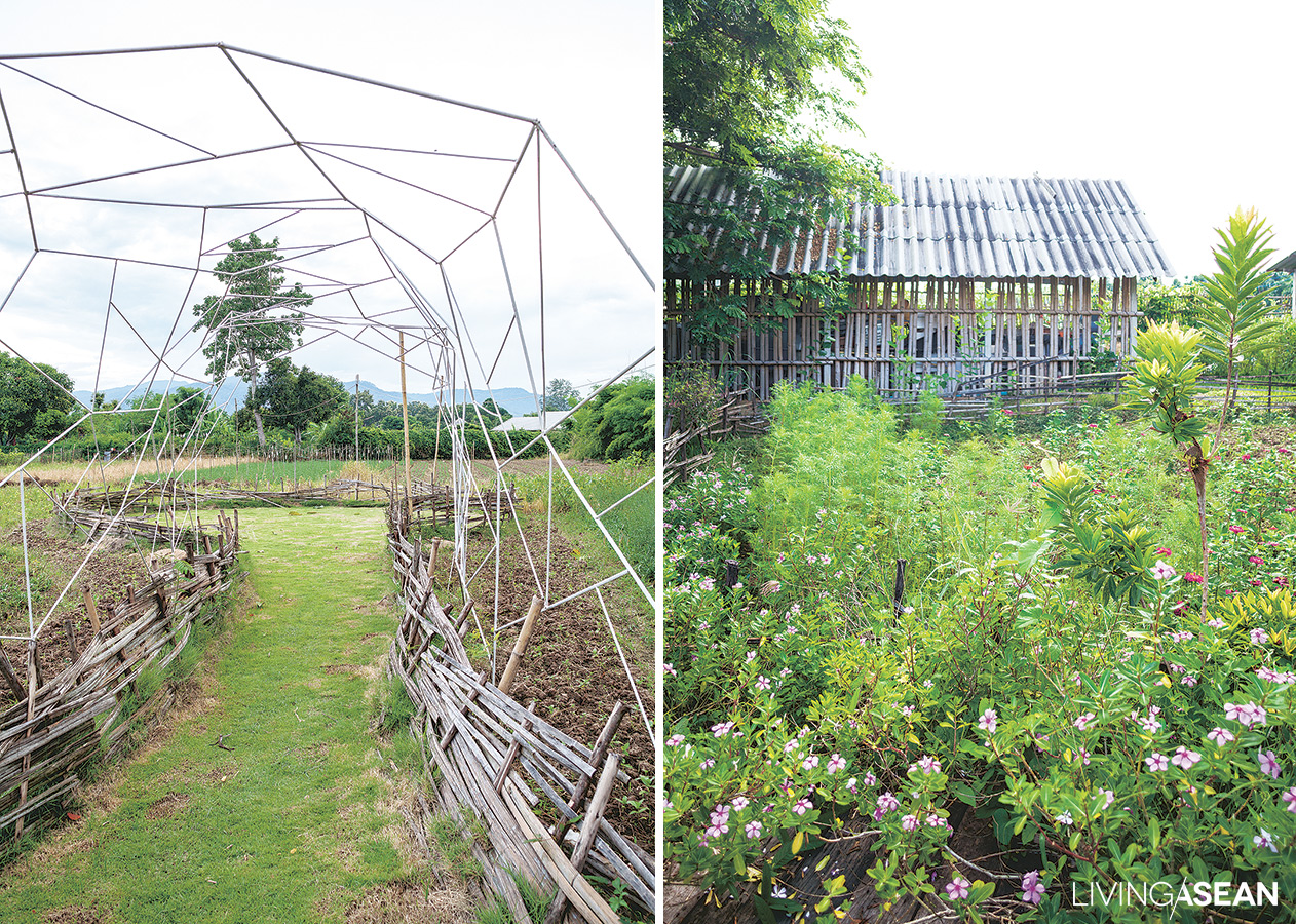A Boutique Farm Stay in Chiang Mai /// Living Asean
