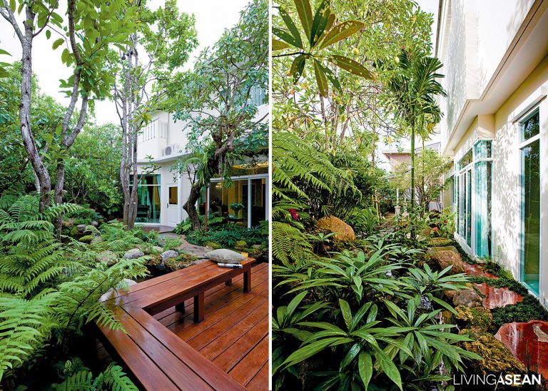 Rainy season forest garden for tropical areas /// Living ASEAN