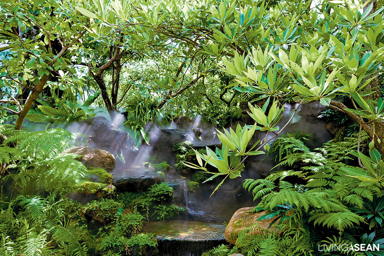 Rainy season forest garden for tropical areas /// Living ASEAN