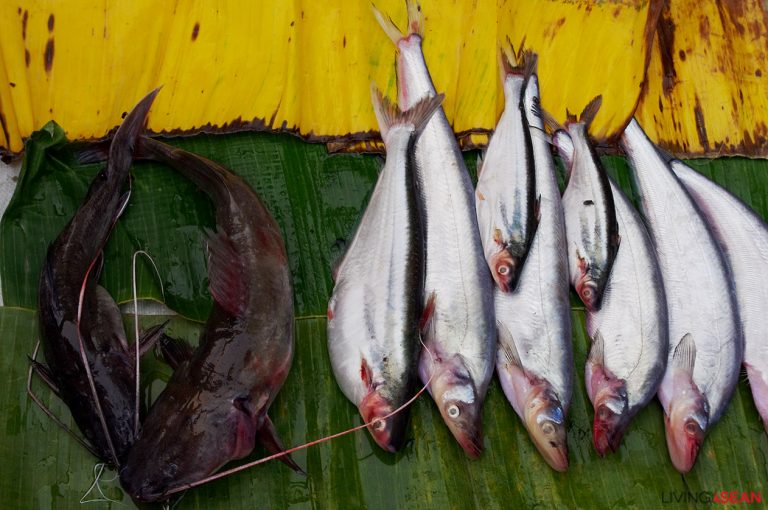 Myanmar Archives - LIVING ASEAN - Inspiring Tropical Lifestyle