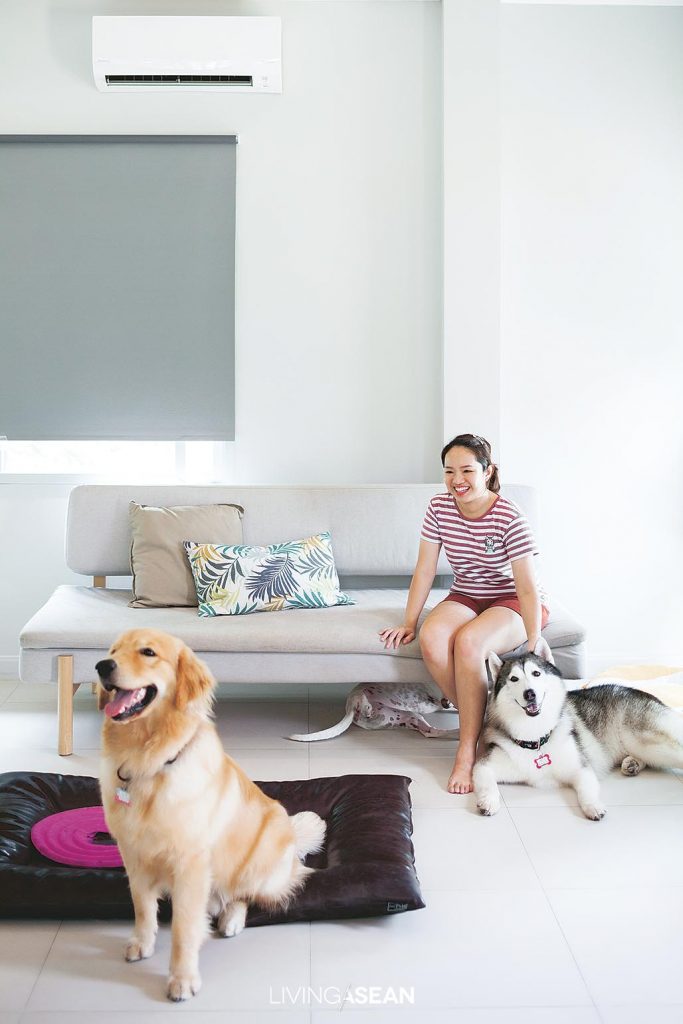 A Stunning Breeze Block House for Avid Dog Lovers / Living Asean