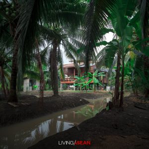 A Wooden House amid the Lush Coconut Groves / Living Asean