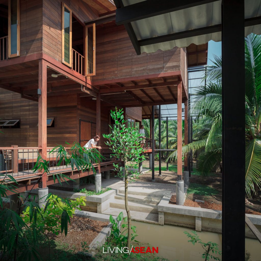 A Wooden House amid the Lush Coconut Groves / Living Asean