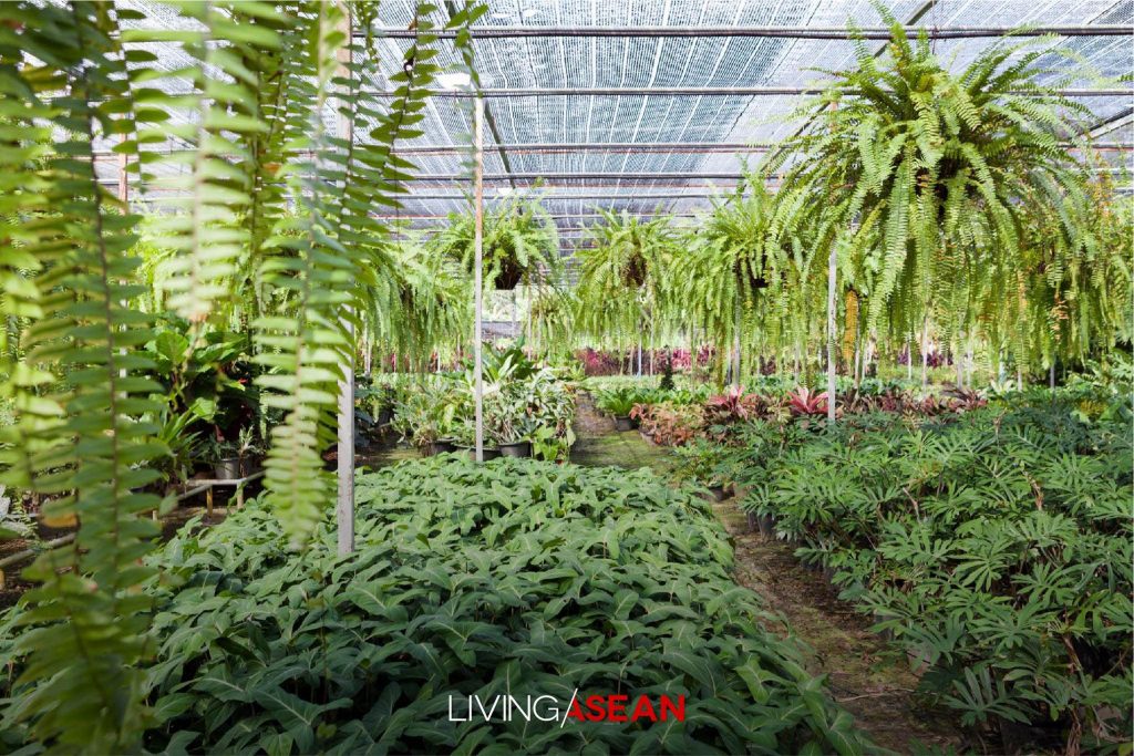 GARDEN / Living ASEAN - Inspiring Tropical Lifestyle