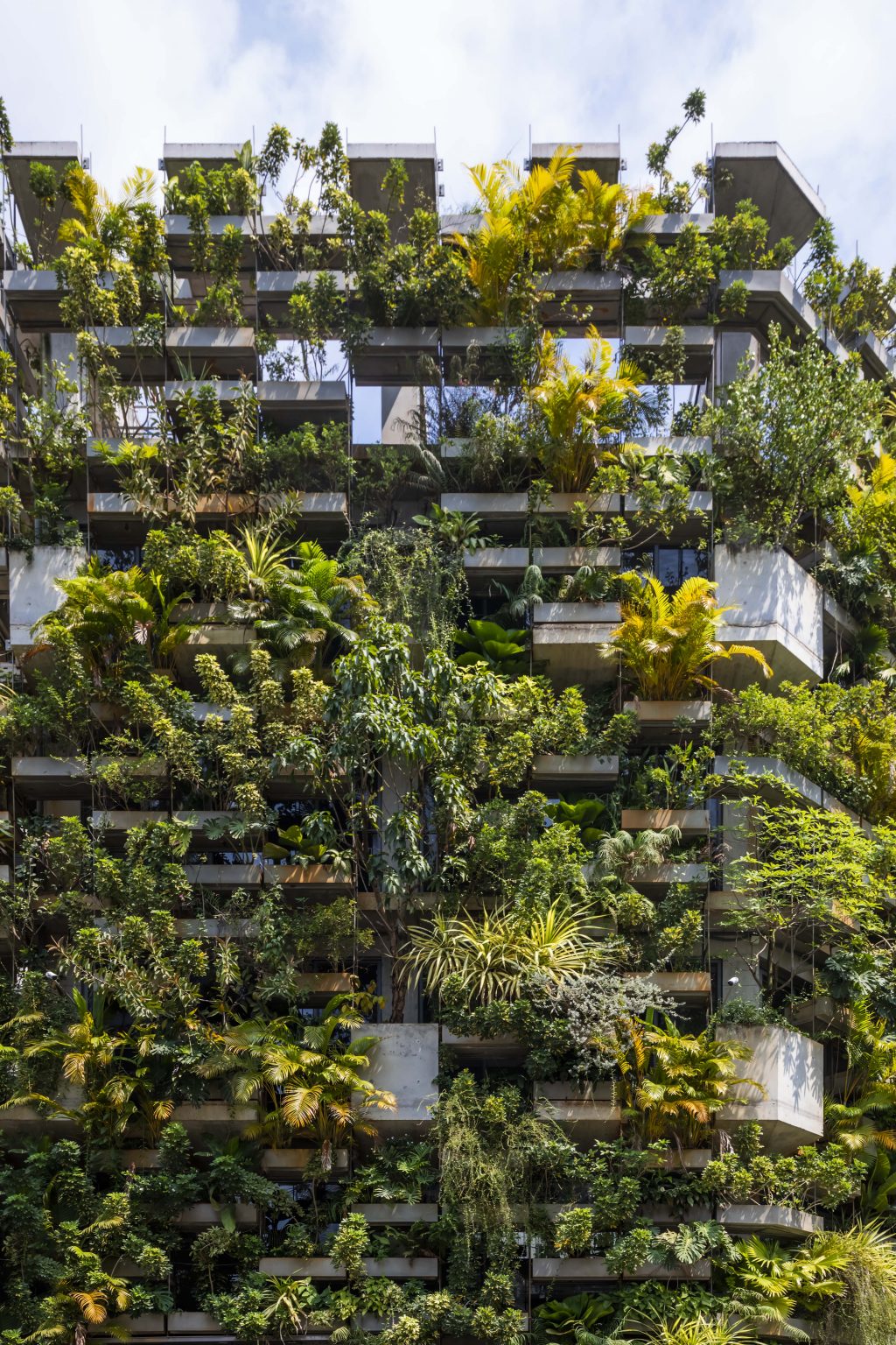 VTN Architects' Office Gives Back Lush Greenery / Living Asean
