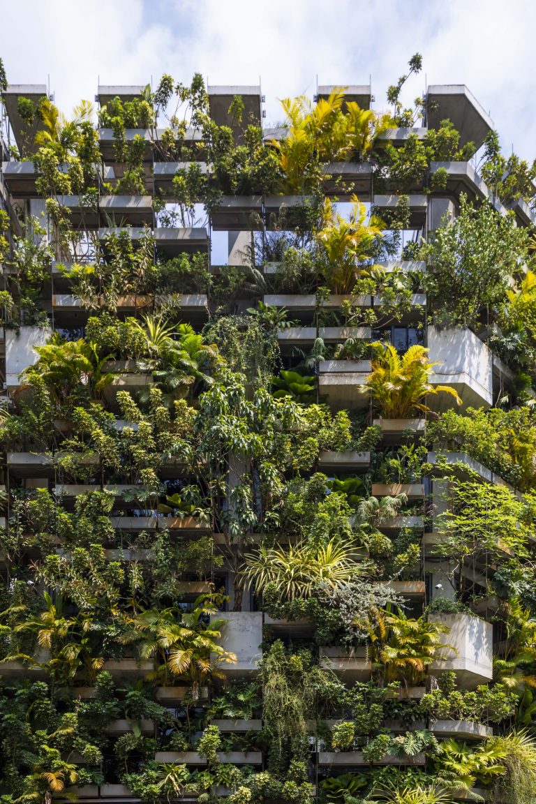 VTN Architects' Office Gives Back Lush Greenery / Living Asean