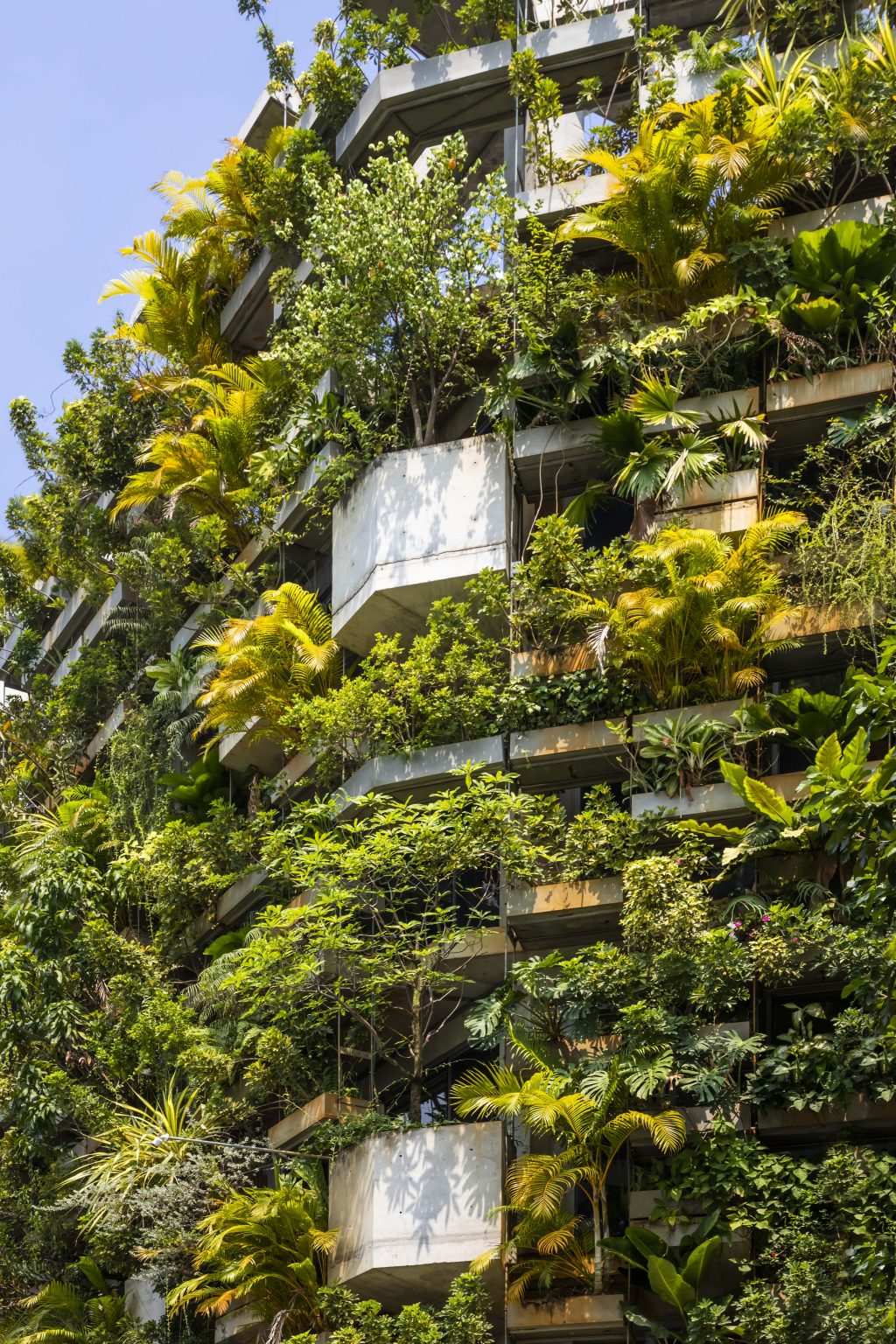 VTN Architects' Office Gives Back Lush Greenery / Living Asean