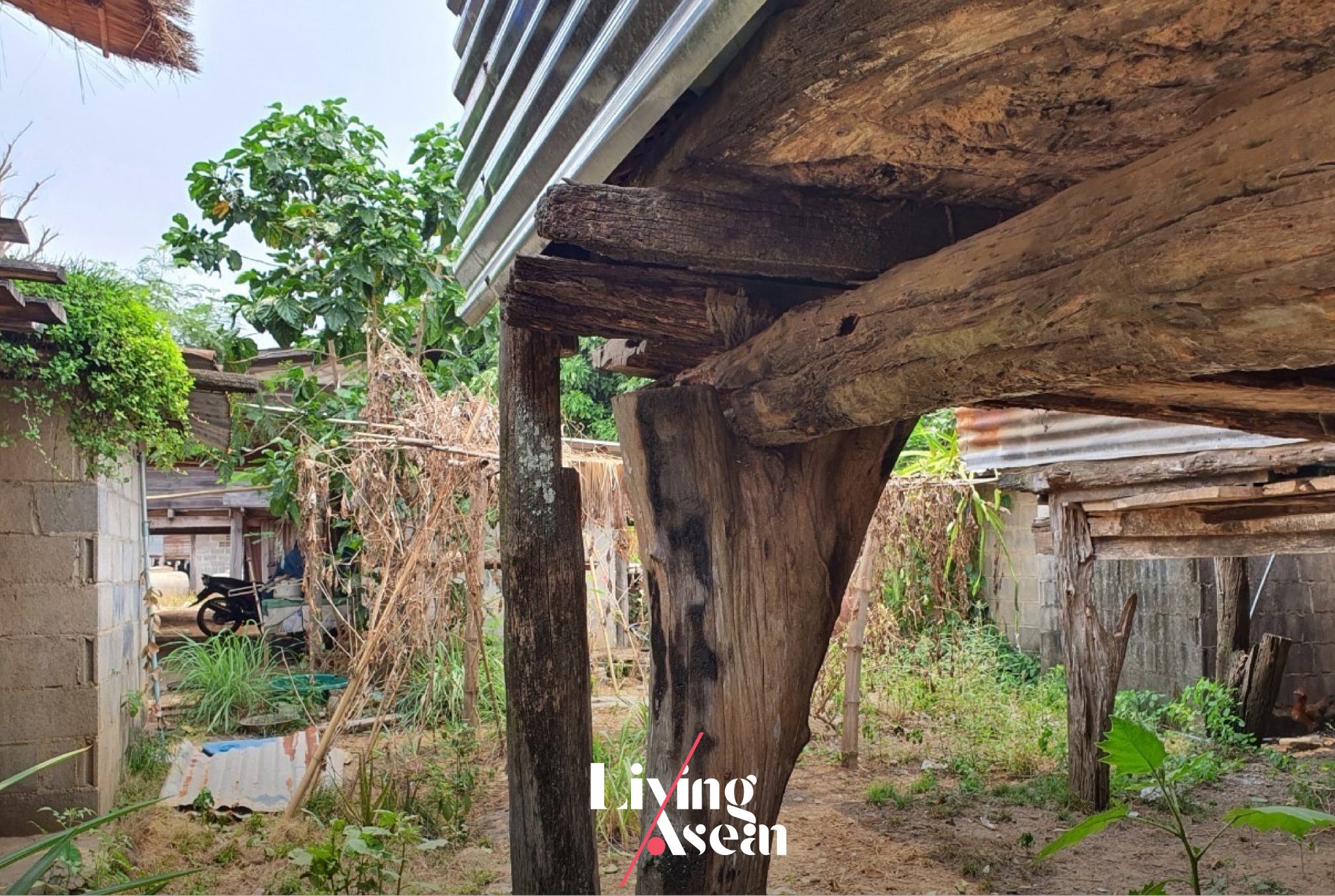 THE ETHNIC NYAH KUR PEOPLE OF ISAN REVISITED / Living Asean