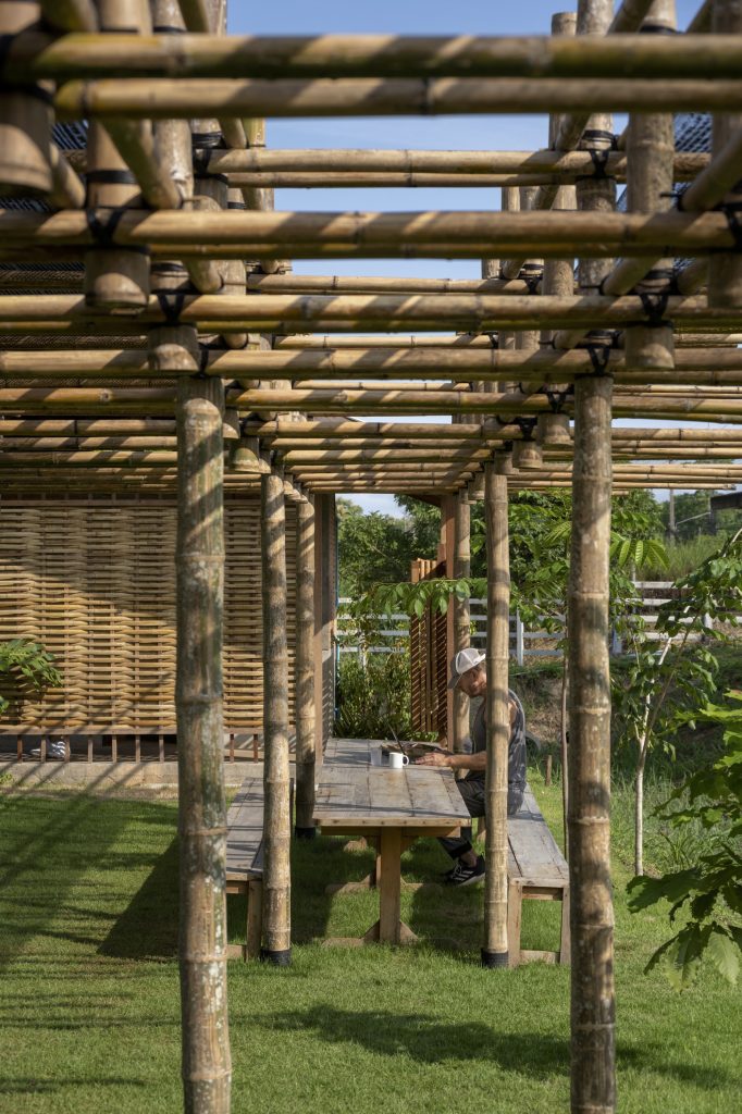 Thingamajiggy Coffee Roaster: Chiang Mai Café amid the Rice Fields ...