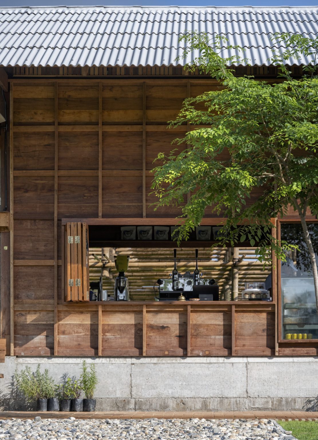Thingamajiggy Coffee Roaster: Chiang Mai Café amid the Rice Fields ...
