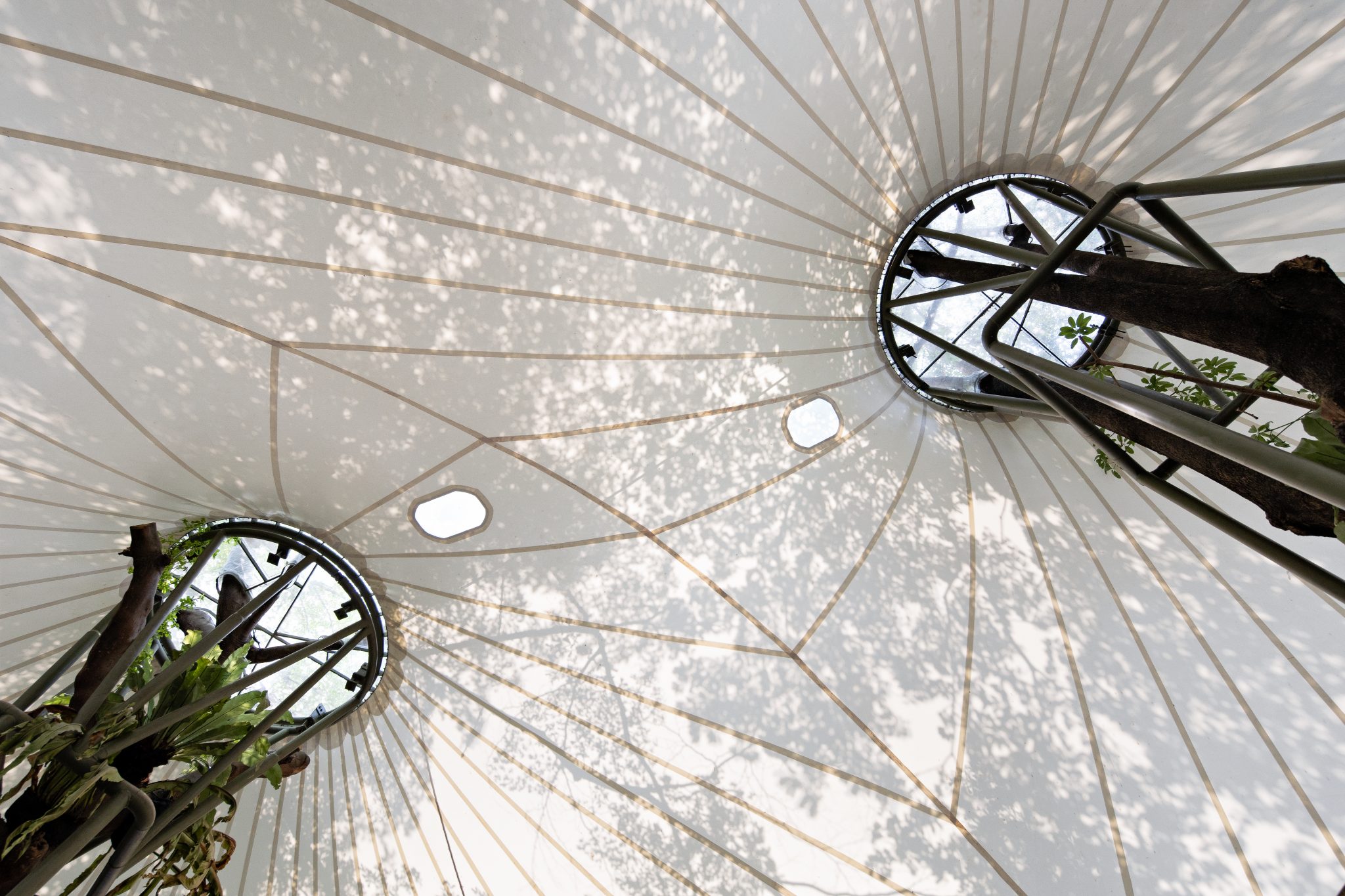 Stalk Jakarta, the Tree-Hugger Bar: Where a Bar Merges with Nature ...