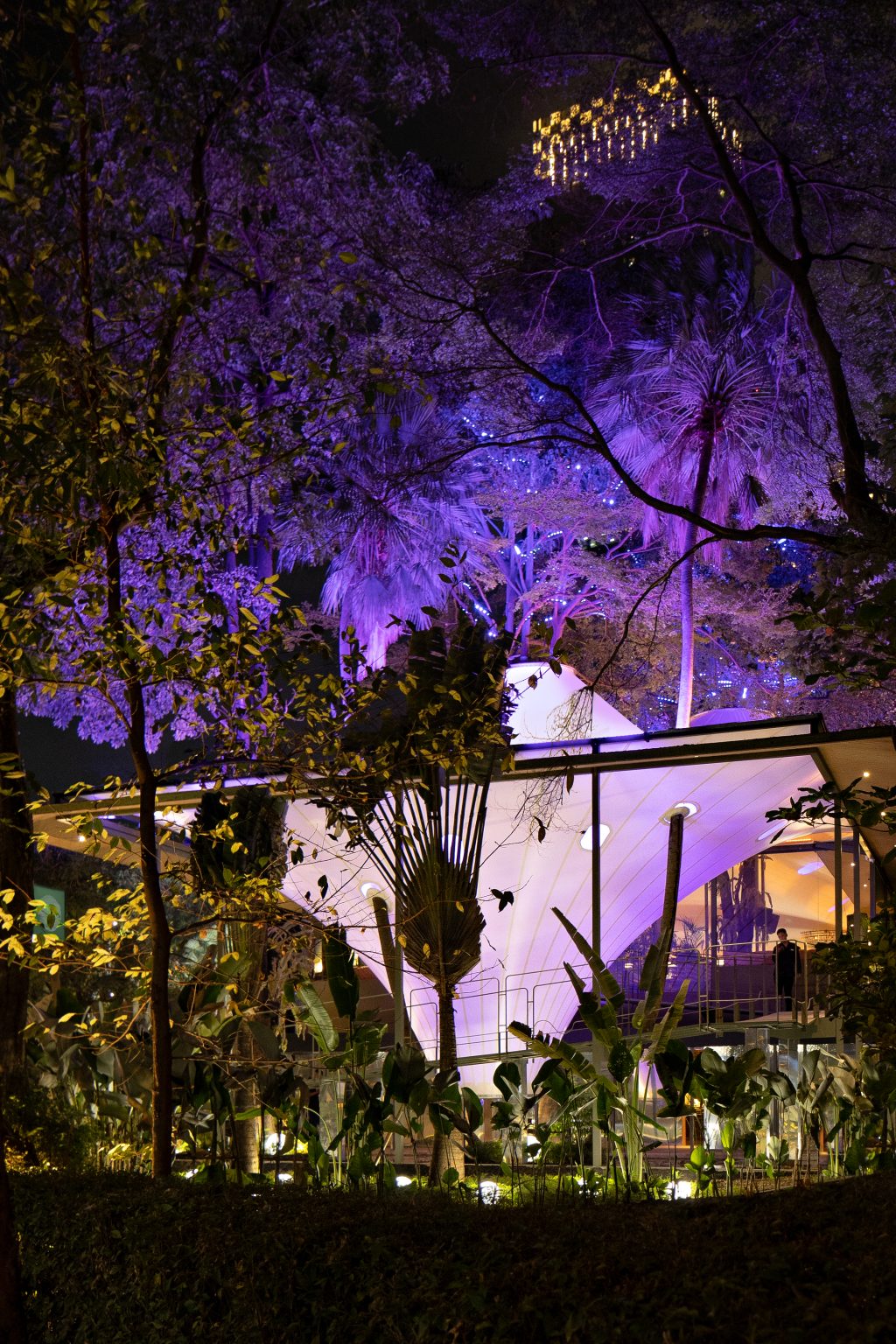 Stalk Jakarta, the Tree-Hugger Bar: Where a Bar Merges with Nature ...