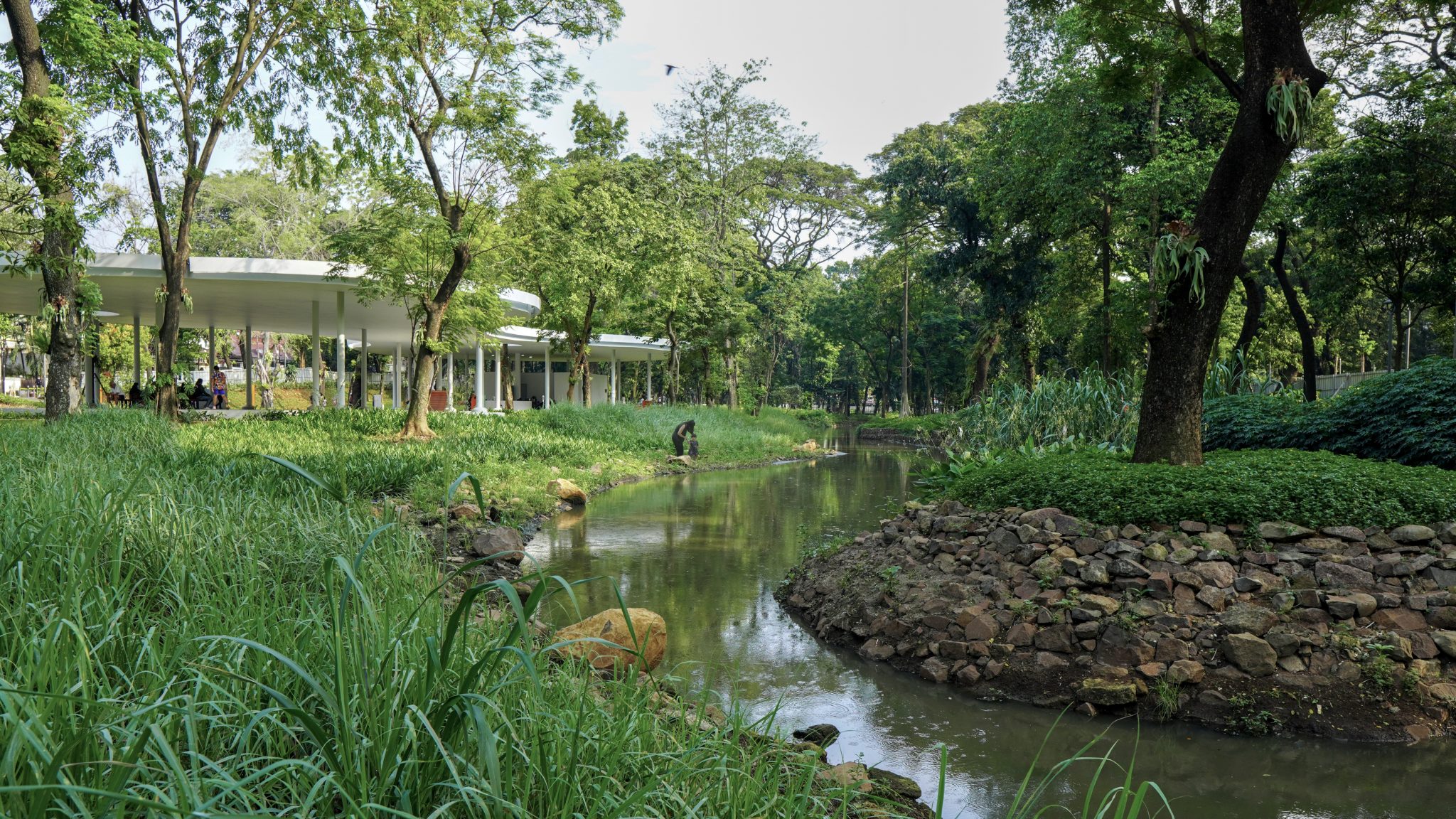 Tebet Eco Park: Ecosystem Restorations Breathe New Life into Jakarta's ...