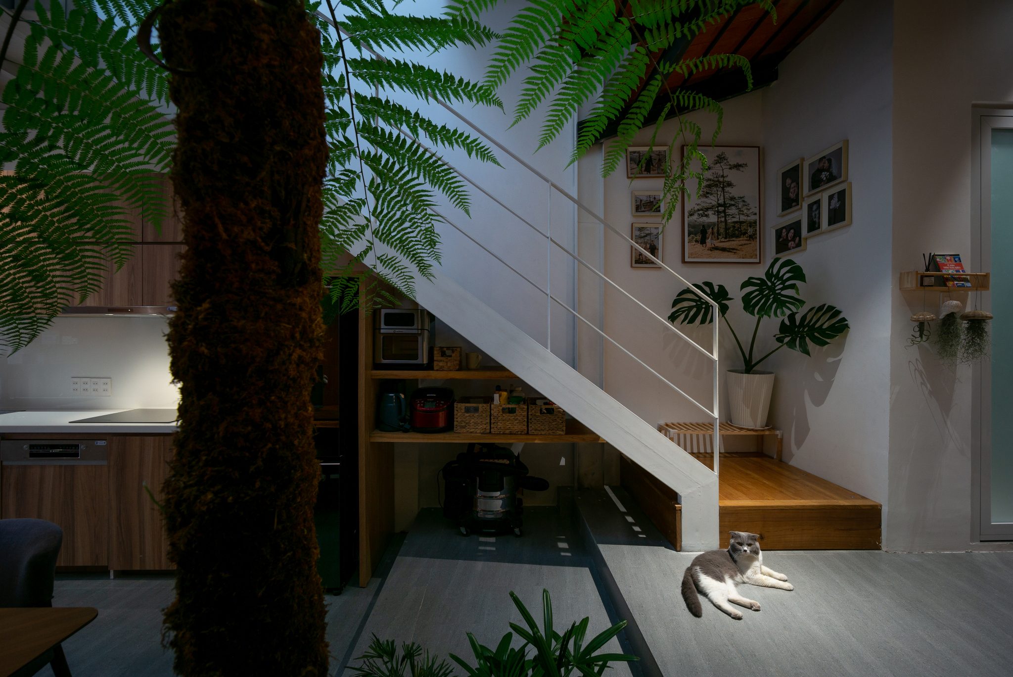 A Renovated Shophouse with a Hidden Gem / Living ASEAN