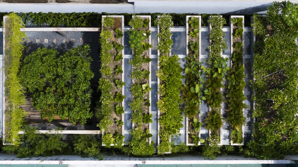 Office for Trees: All-Glass Workspace amid Green Gardens / Living ASEAN